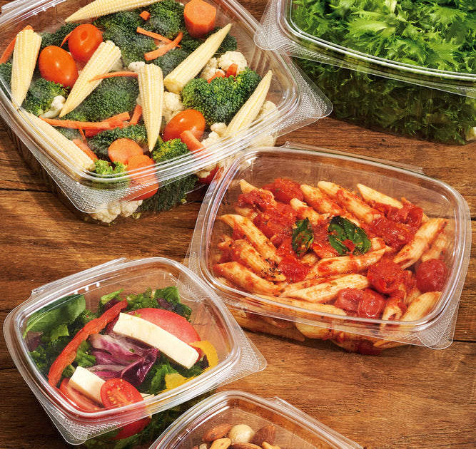 Hinged Containers – Perfection Products