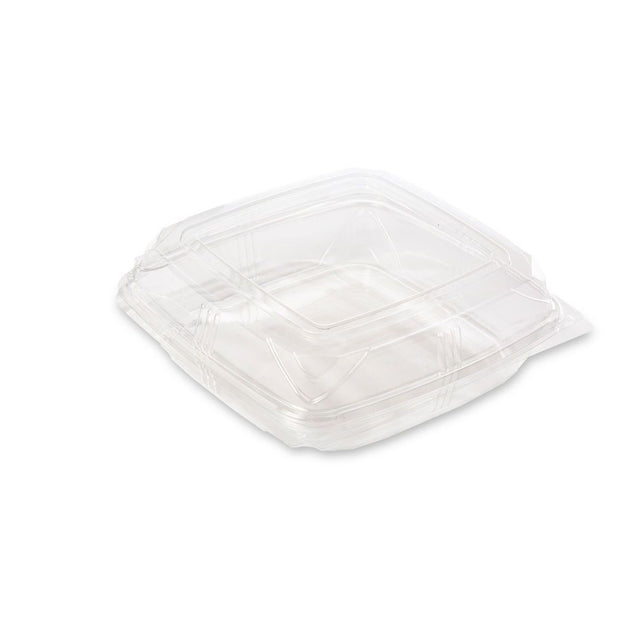 10″ Perfect View Hinged Container – Perfection Products