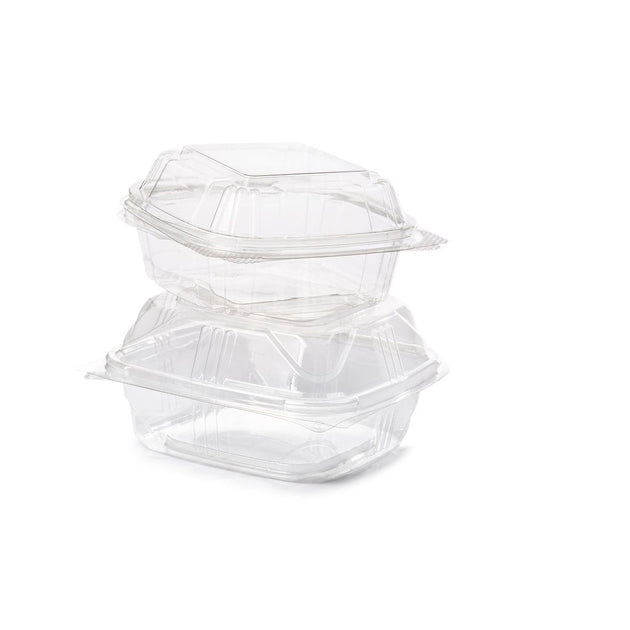 6" Plastic Hinged Container – Perfection Products