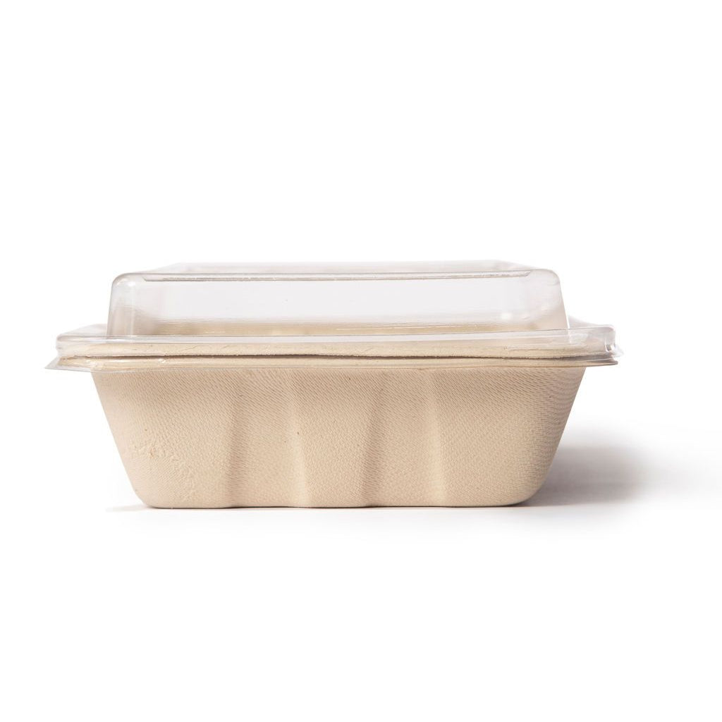 Biodegradable Sandwich Container – Perfection Products