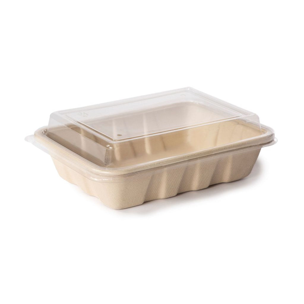 Biodegradable Sandwich Container – Perfection Products